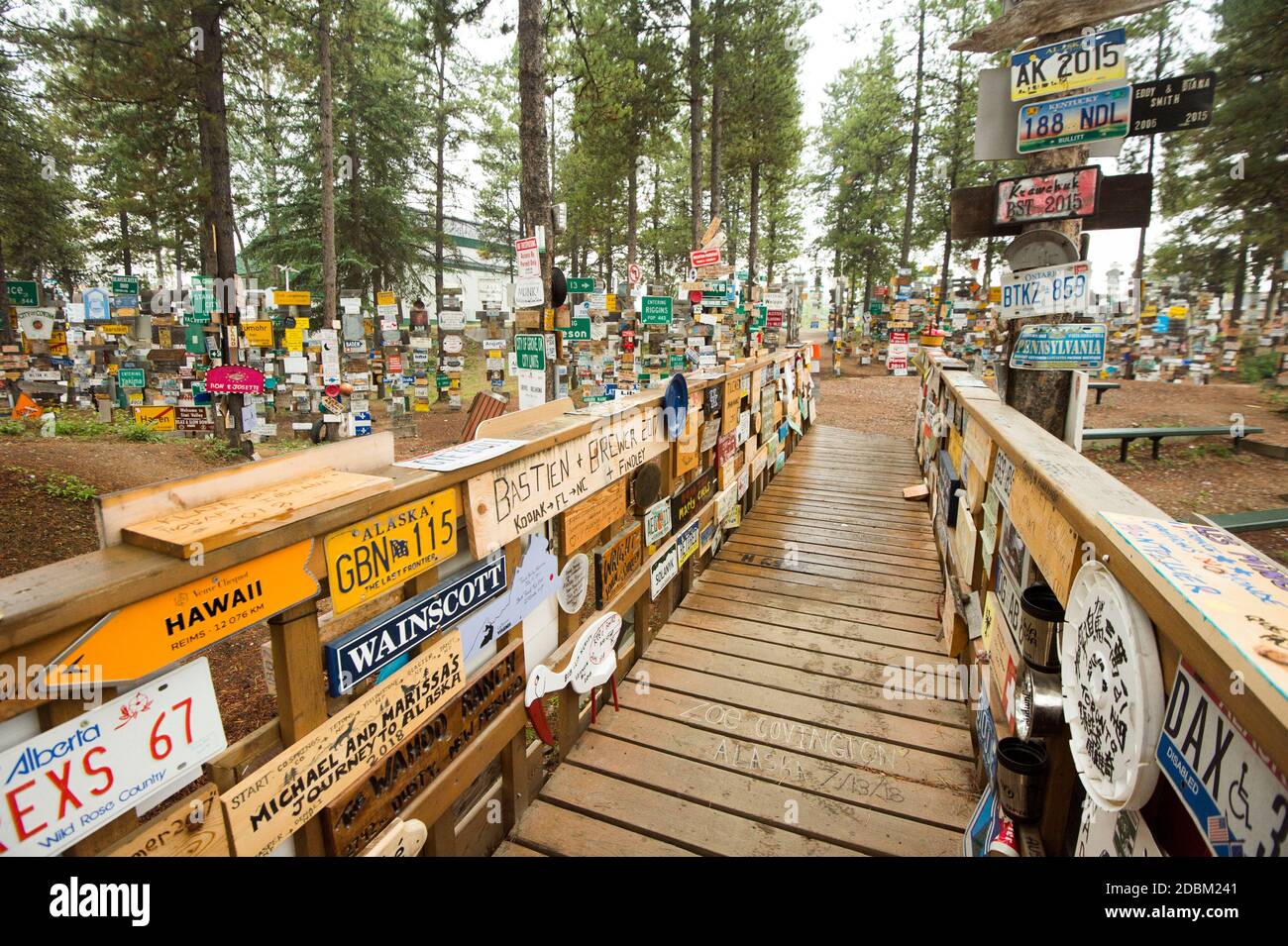 Boardwalk in Sign Post Forest, British Columbia, Canada Stock Photo - Alamy