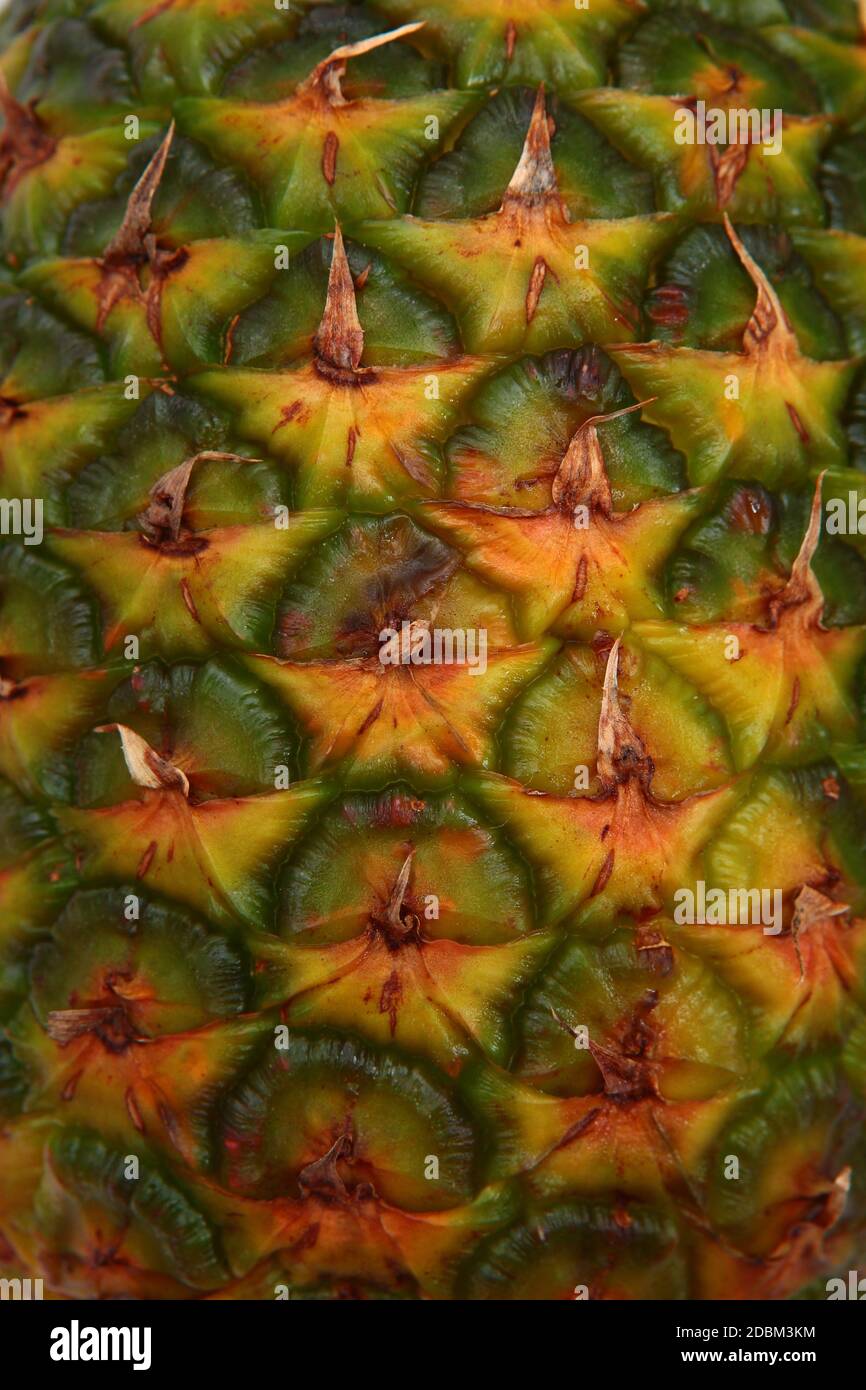 The texture of the peel of the pineapple. Close-up of fruit peel. Macro ...