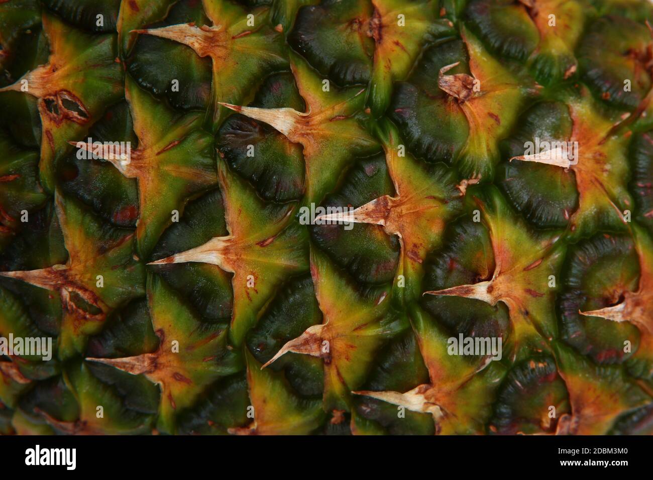 Uneven scales hi-res stock photography and images - Alamy