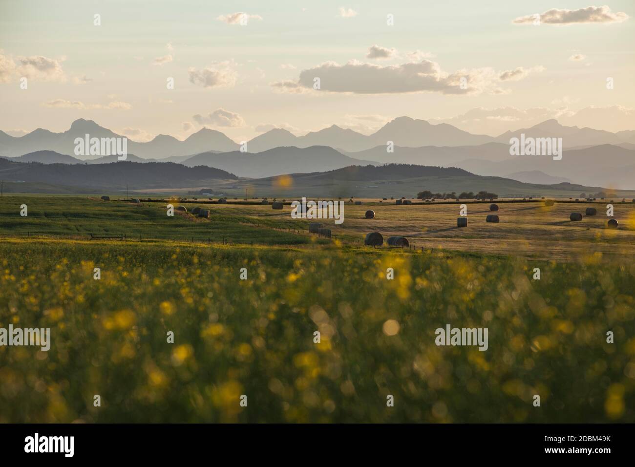 Beautiful sunset near Waterton National Park in Alberta Stock Photo - Alamy