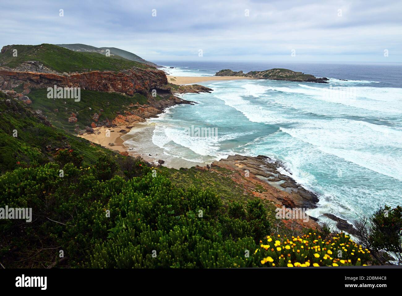 Robberg nature reserve hi-res stock photography and images - Alamy