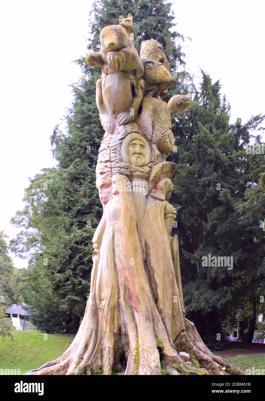 Carved Beech Tree by Sculptor Andrew Frost, Pavilion Gardens, Buxton ...