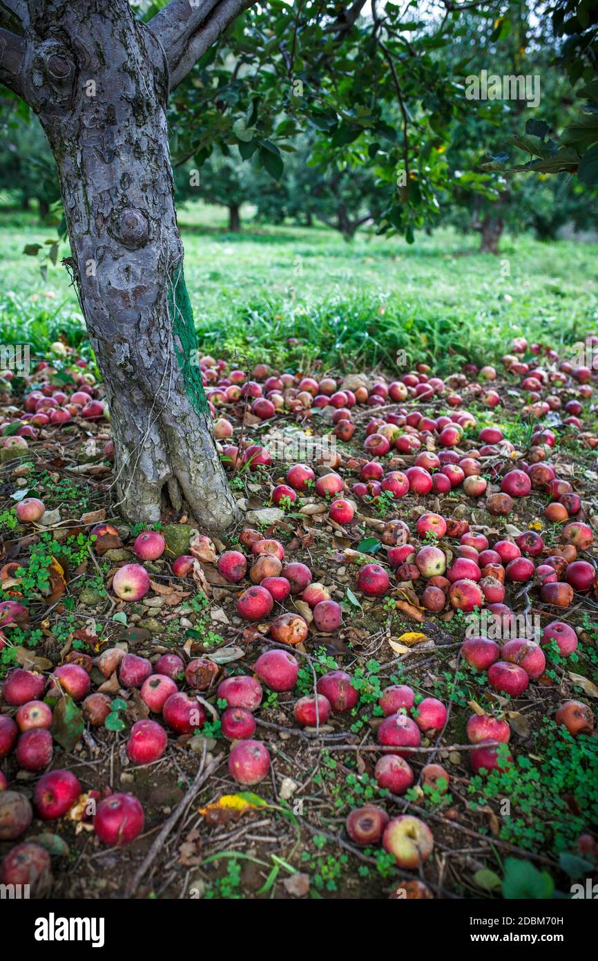 Middleburg va hi-res stock photography and images - Alamy