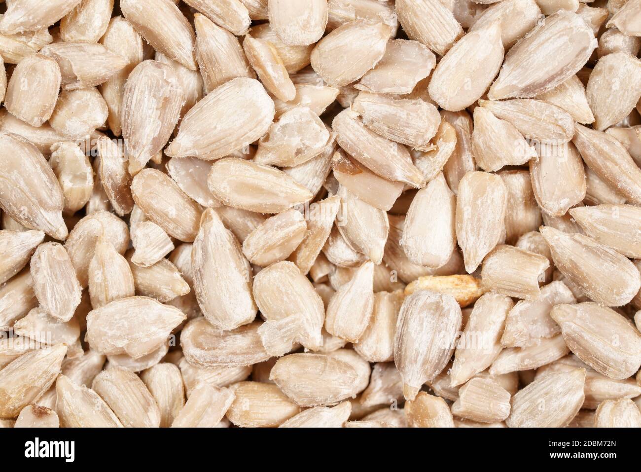White peeled sunflower seeds, closeup detail from above Stock Photo - Alamy