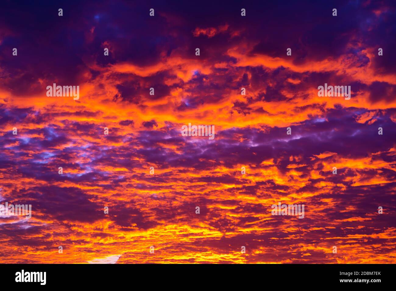 The colors of a burning sunset in the sky Stock Photo - Alamy
