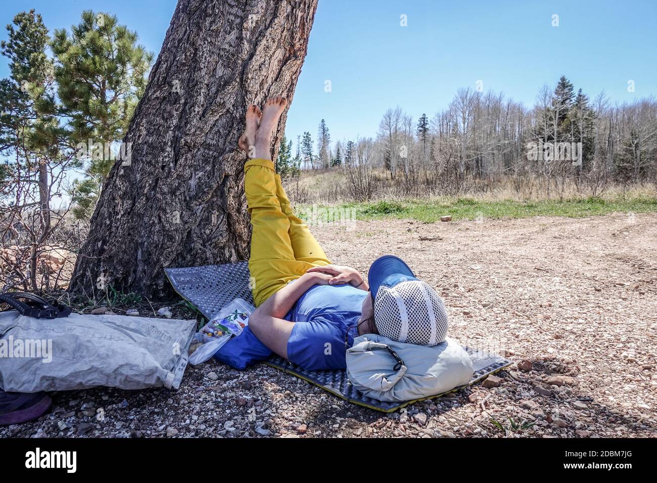 Female hiker resting under tree, Grand Canyon, Arizona, USA Stock Photo ...