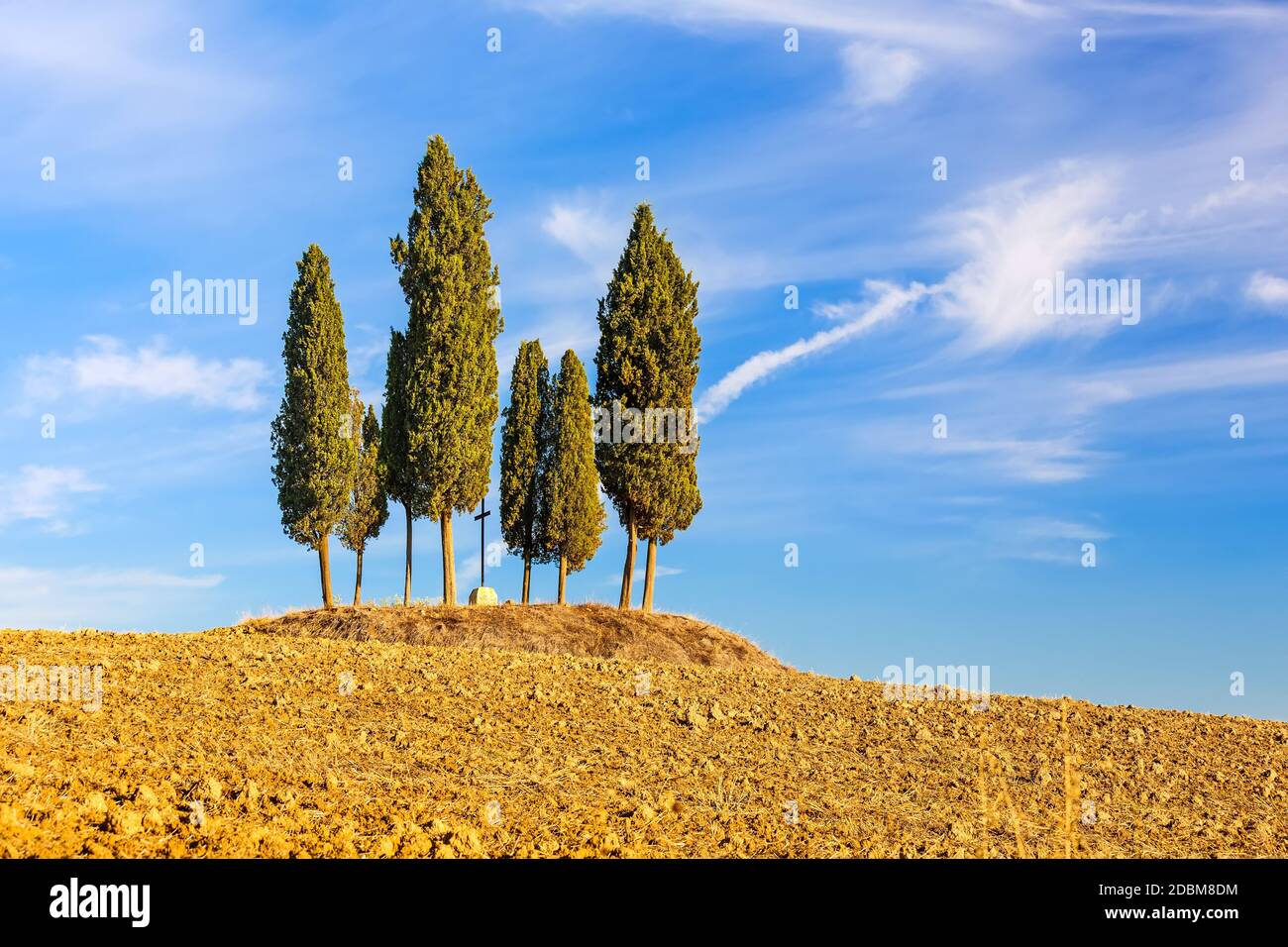 Tuscany landscape with cypress trees Stock Photo - Alamy