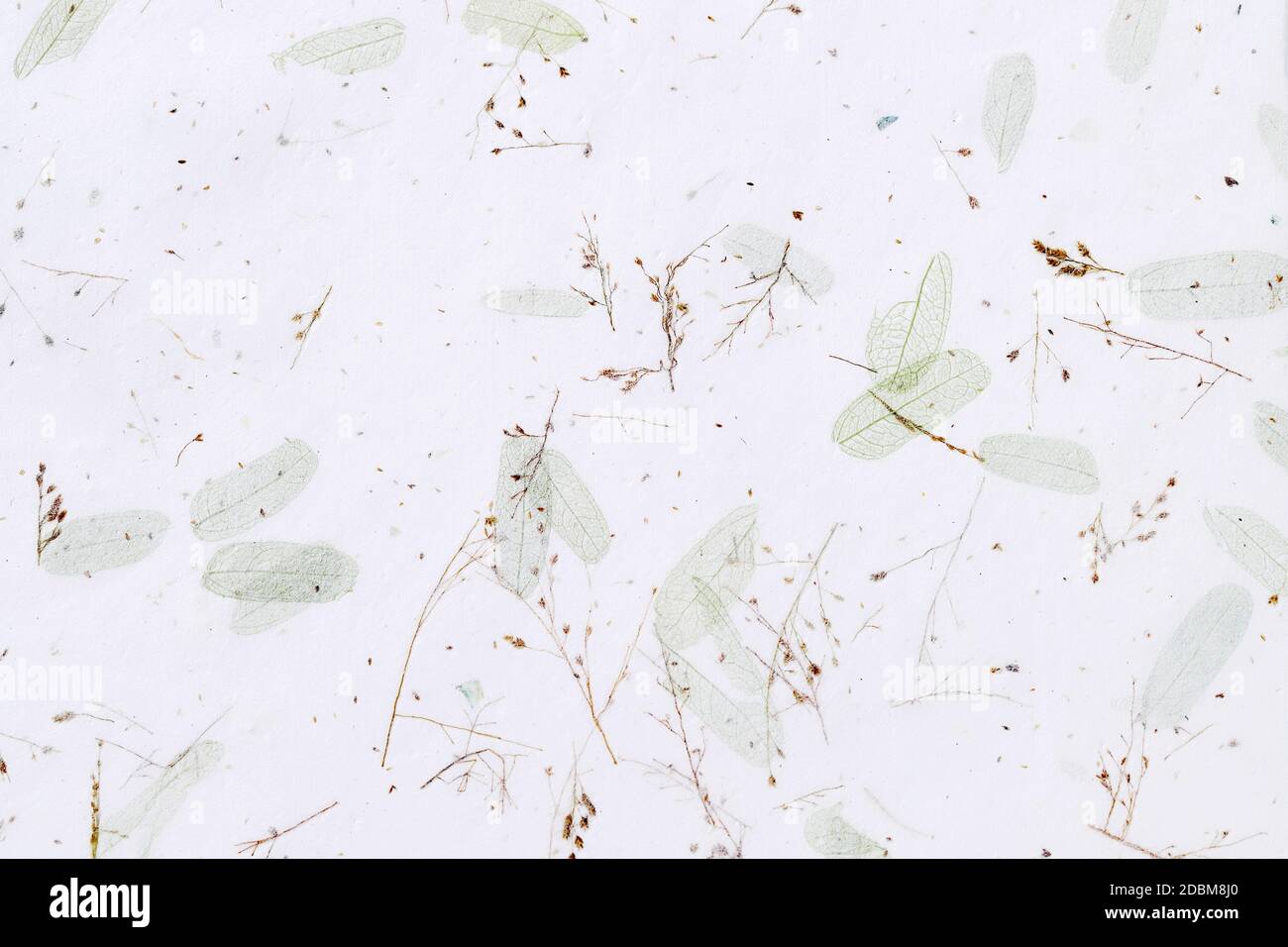 Traditional handmade Japanese rice paper, texture background Stock ...