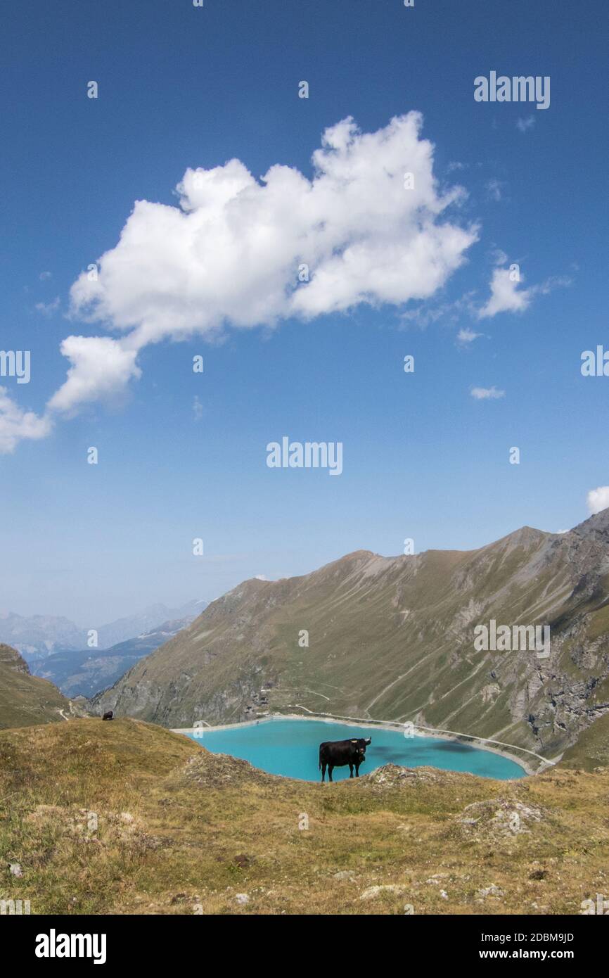 Pastural hi-res stock photography and images - Alamy