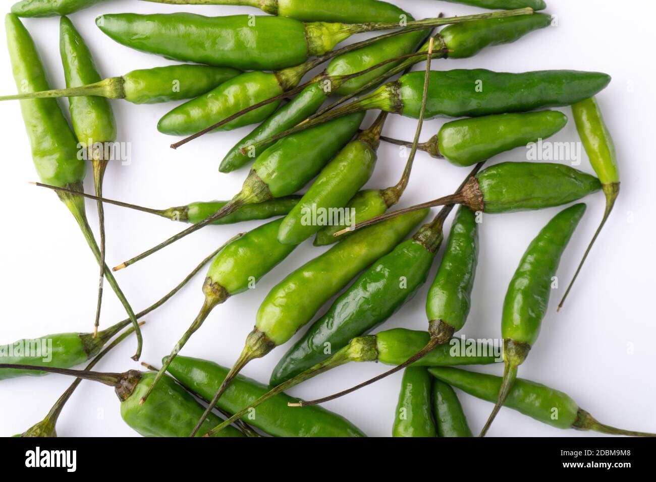 Green BirdÕs eye chili,Thai Chili pepper ,bird chili pepper nature ...