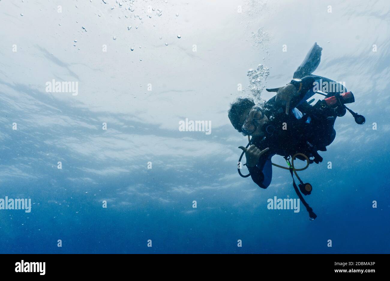 Scuba diver swimming in Ari Atoll, Maldives Stock Photo - Alamy