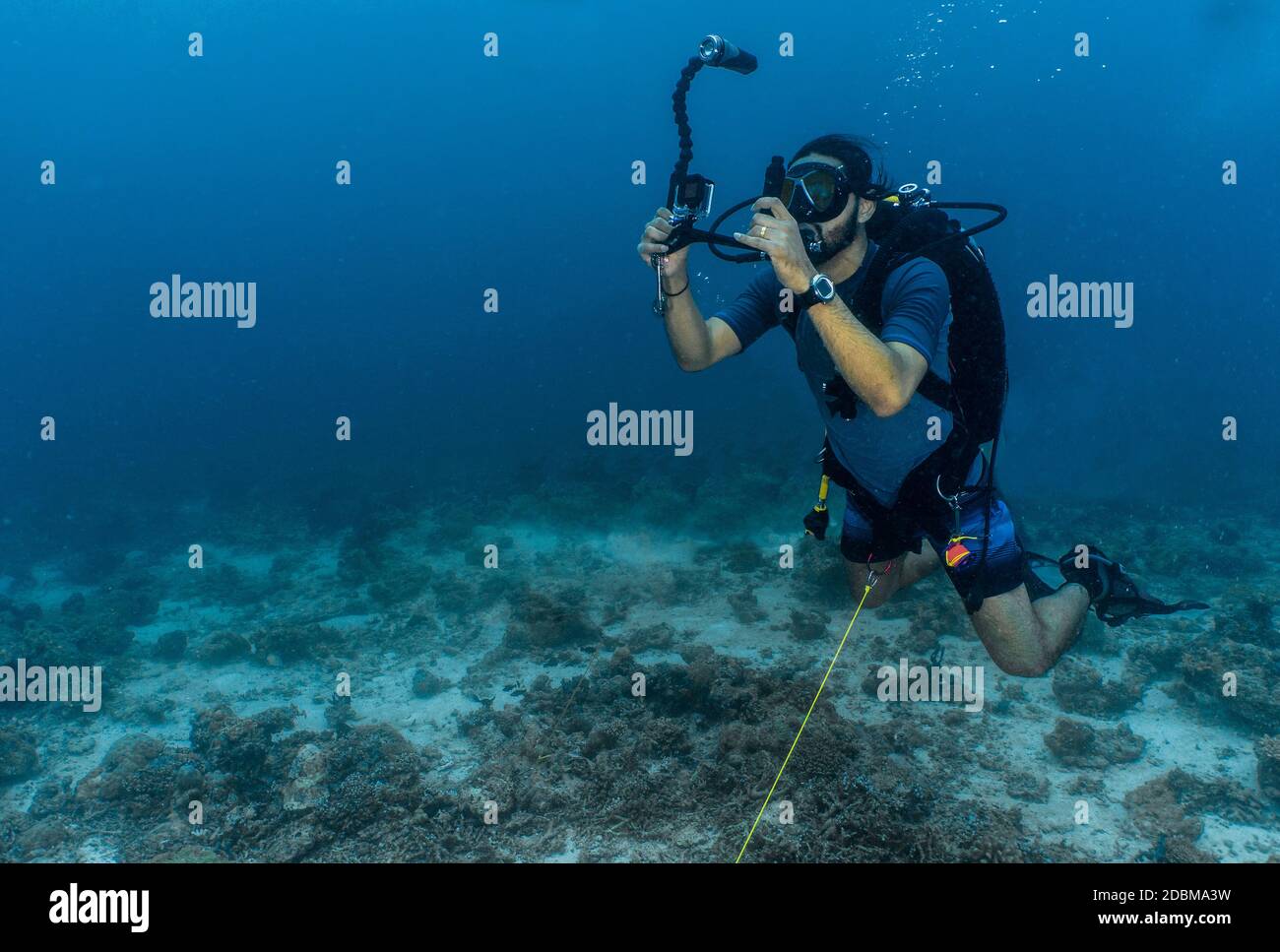 Scuba diver swimming inÃ‚Â AriÃ‚Â Atoll, Maldives Stock Photo - Alamy