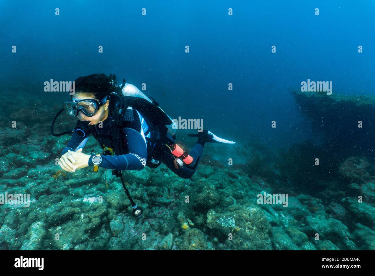 Scuba diver swimming inÃ‚Â AriÃ‚Â Atoll, Maldives Stock Photo - Alamy