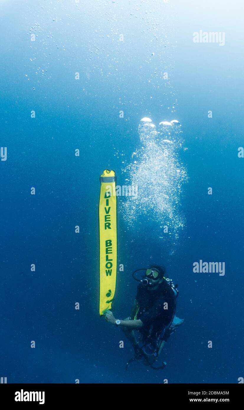 Scuba diver swimming inÃ‚Â AriÃ‚Â Atoll, Maldives Stock Photo - Alamy