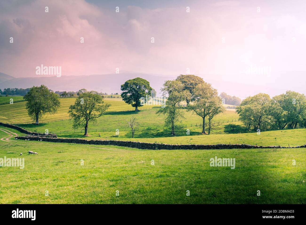A Scenic Countryside View of a Spacious Open Grassland Field and a Blue ...