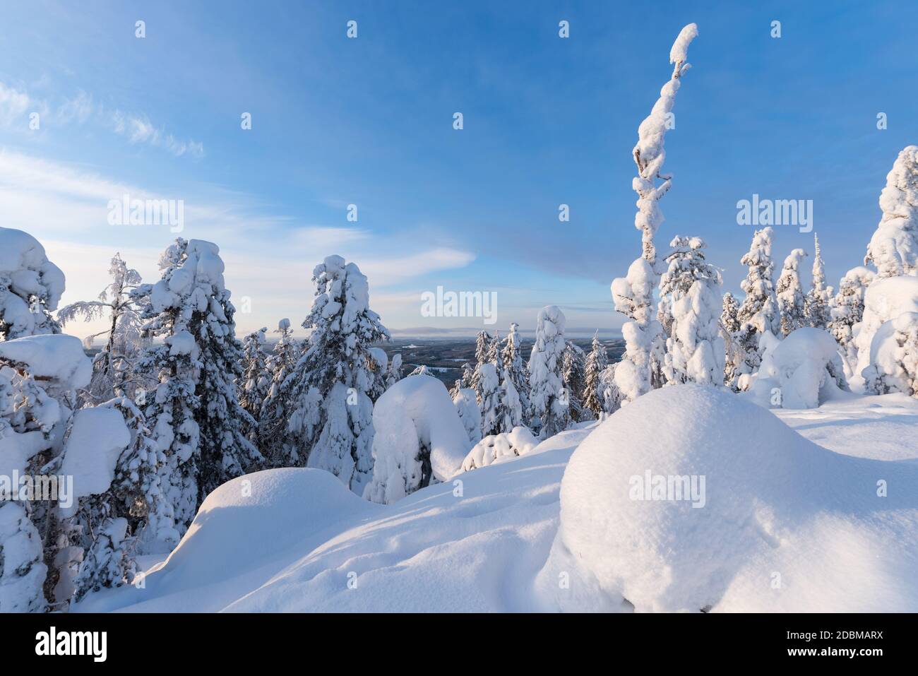 Snowy winter landscape in Koli National Park, Finland Stock Photo - Alamy