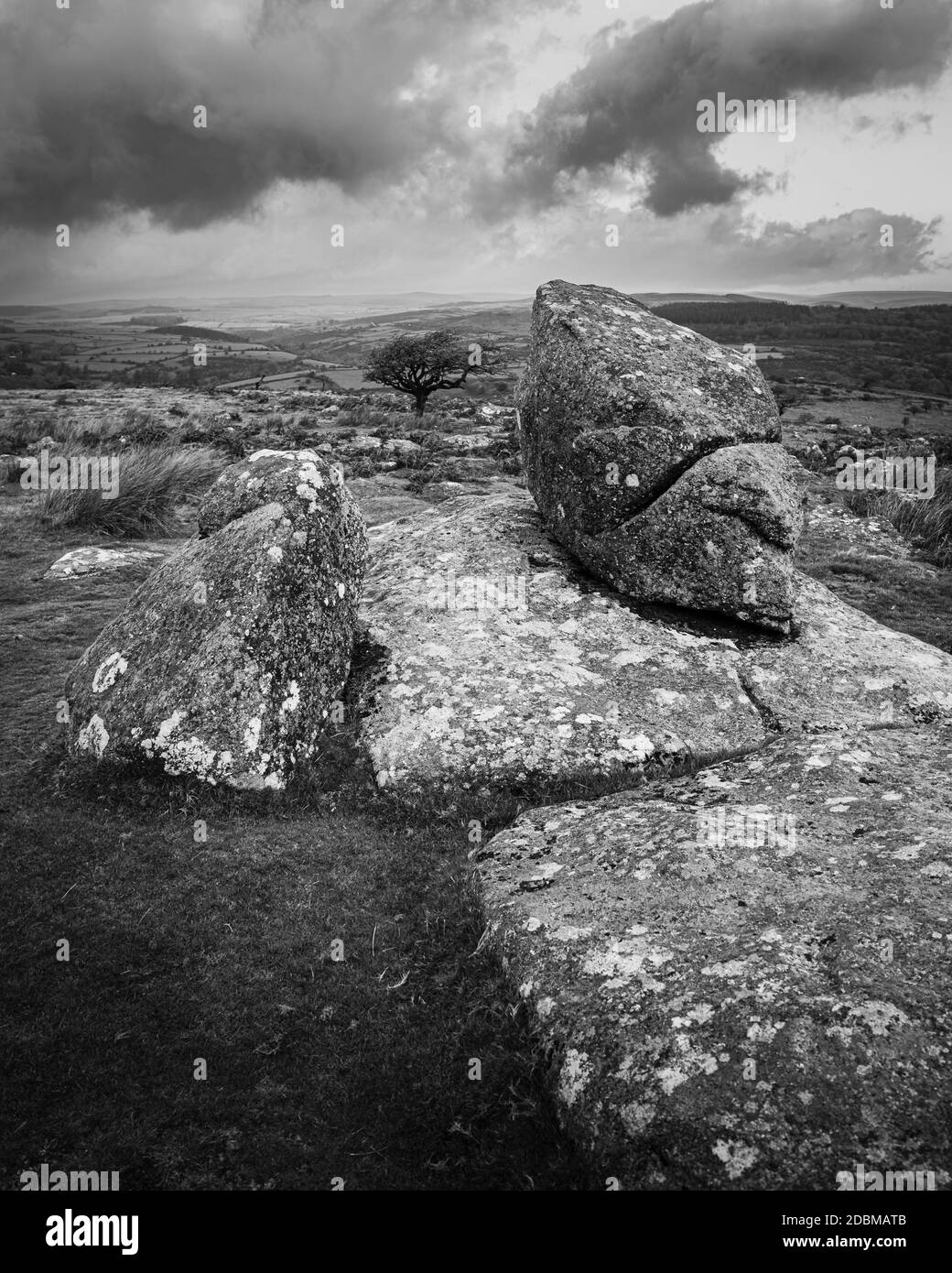 Granite Texture Id Roblox