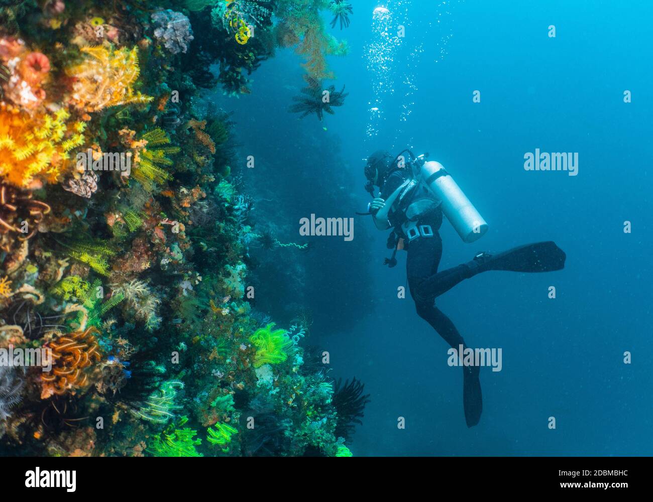Komodo Island Diving
