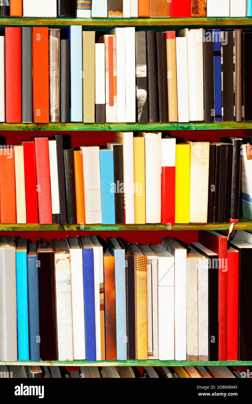Book shelf with big art collection library Stock Photo - Alamy