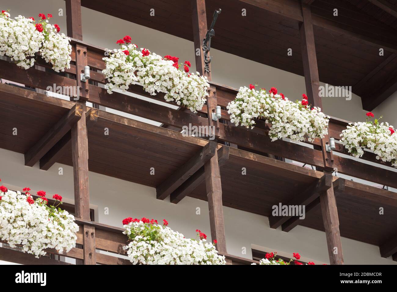geraniums long a local street of a mountain town in Italy Stock Photo ...
