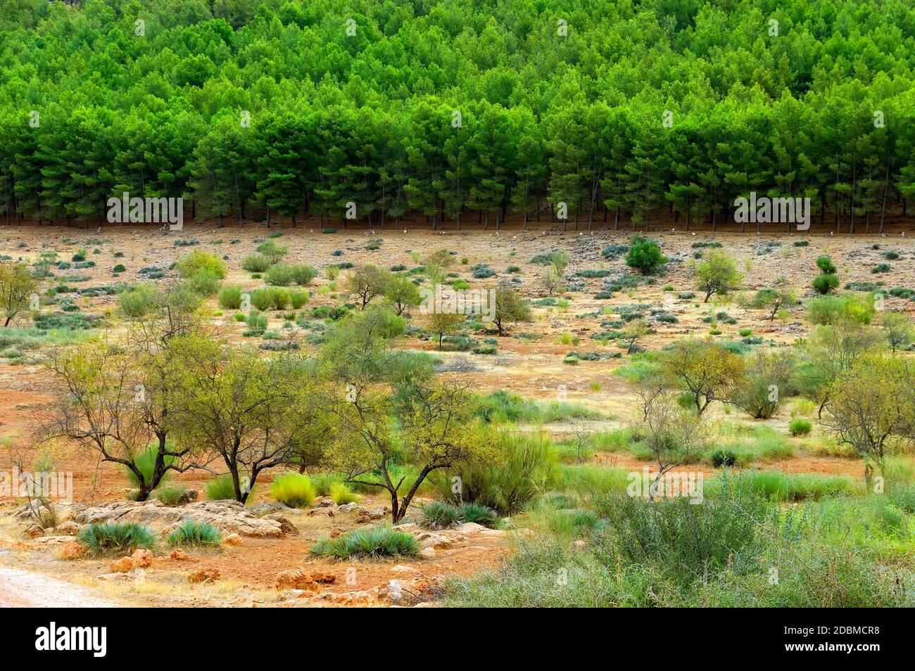 Alpine landscape in Atlas Mountains, Morocco, Africa Stock Photo - Alamy