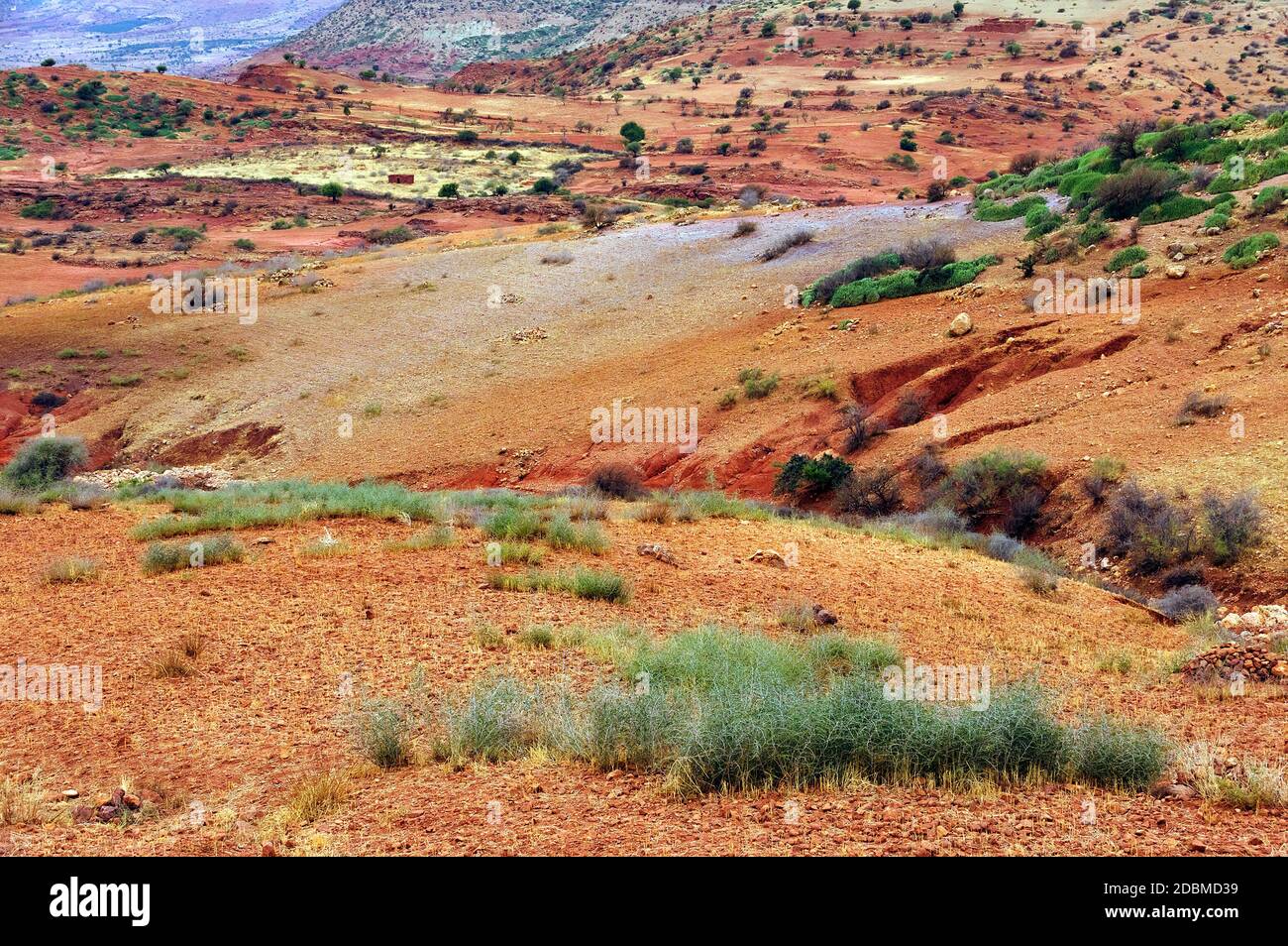 Alpine landscape in Atlas Mountains, Morocco, Africa Stock Photo - Alamy