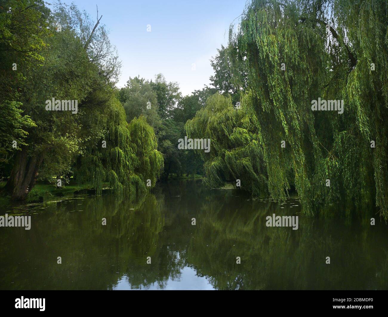 river Oker in Brunswick Stock Photo - Alamy