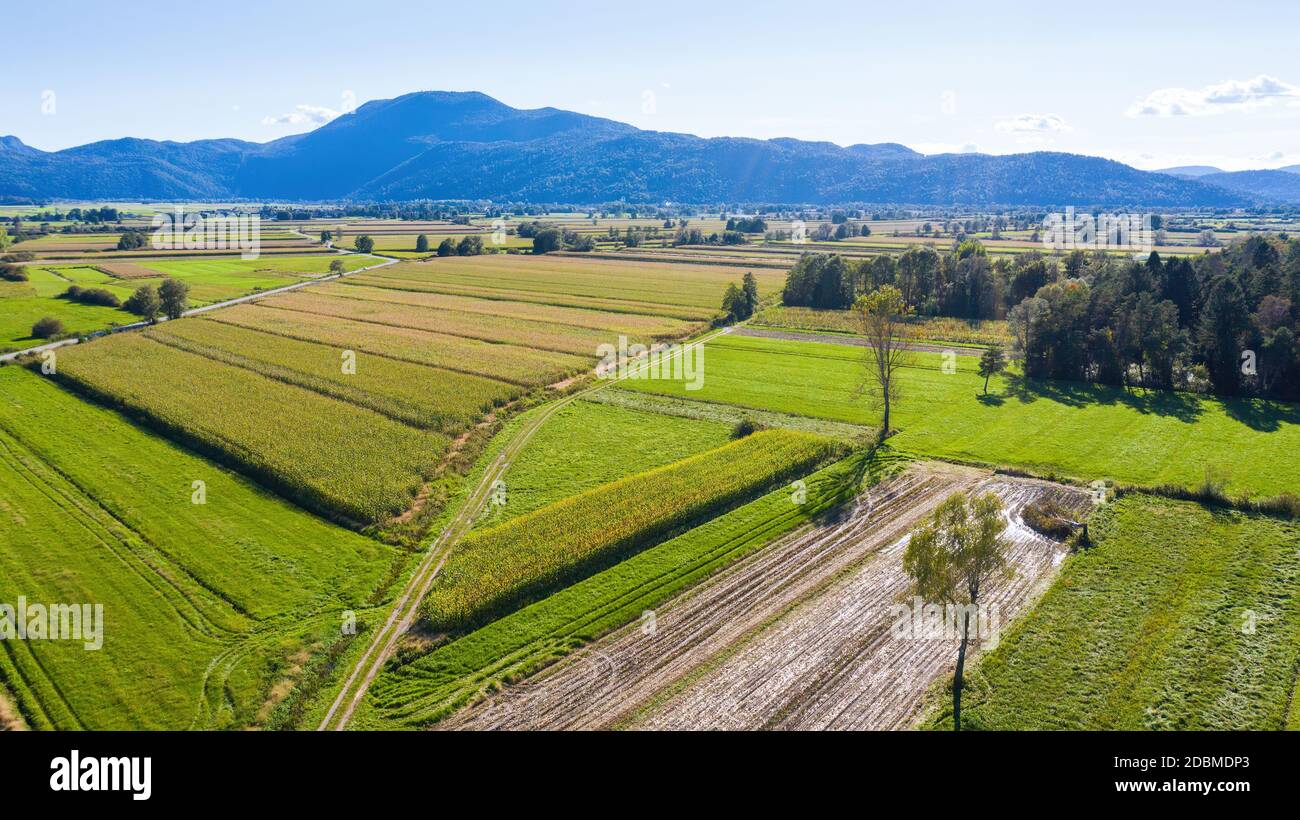 Aerial view of agricultural farming fields from sky Stock Photo - Alamy