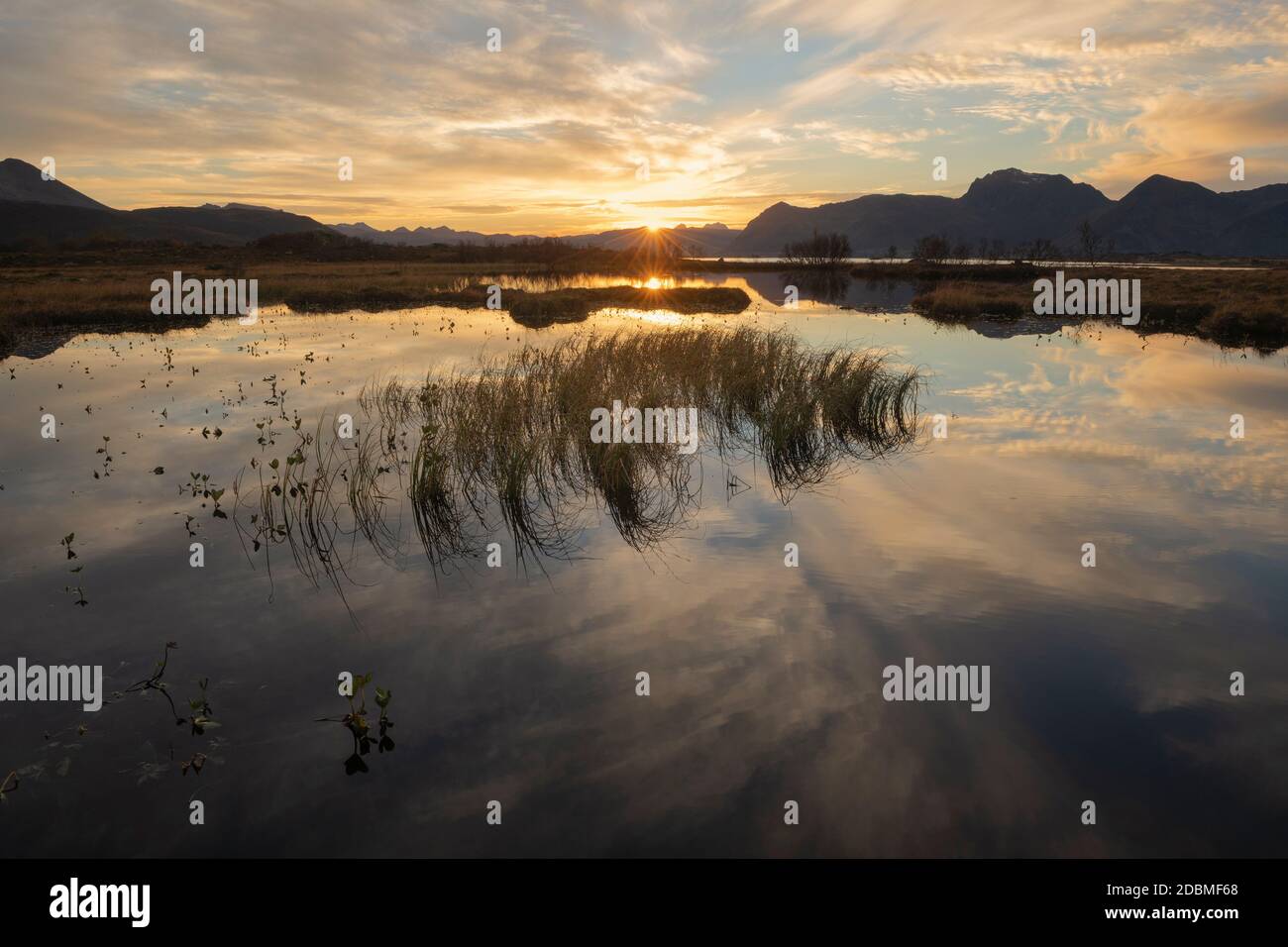 Small marsh pond on Gimsøy, Lofoten Islands, Norway Stock Photo - Alamy