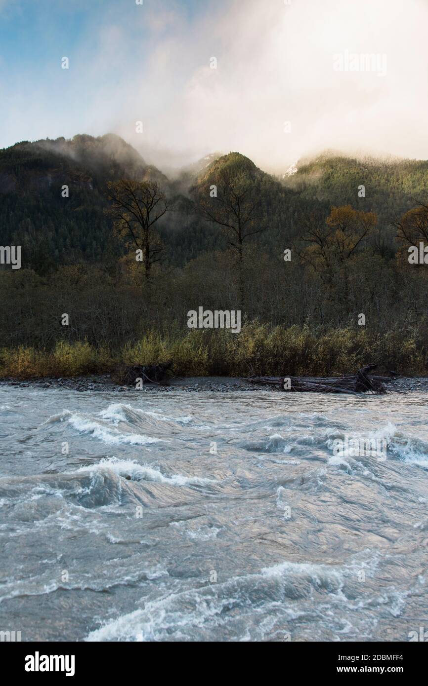 The Elwha River near Port Angeles, Washington Stock Photo - Alamy