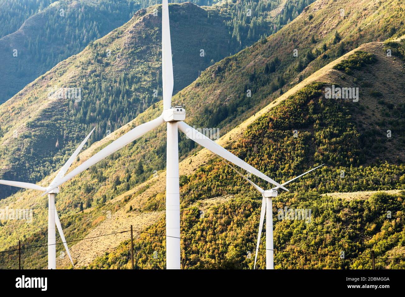 Wind powered turbines in the desert along the loneliest Road in America ...