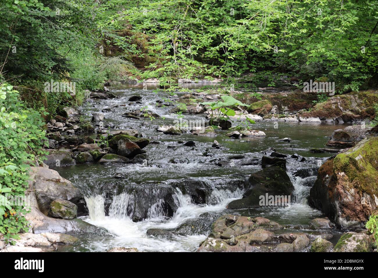 Wild waterfalls hi-res stock photography and images - Alamy