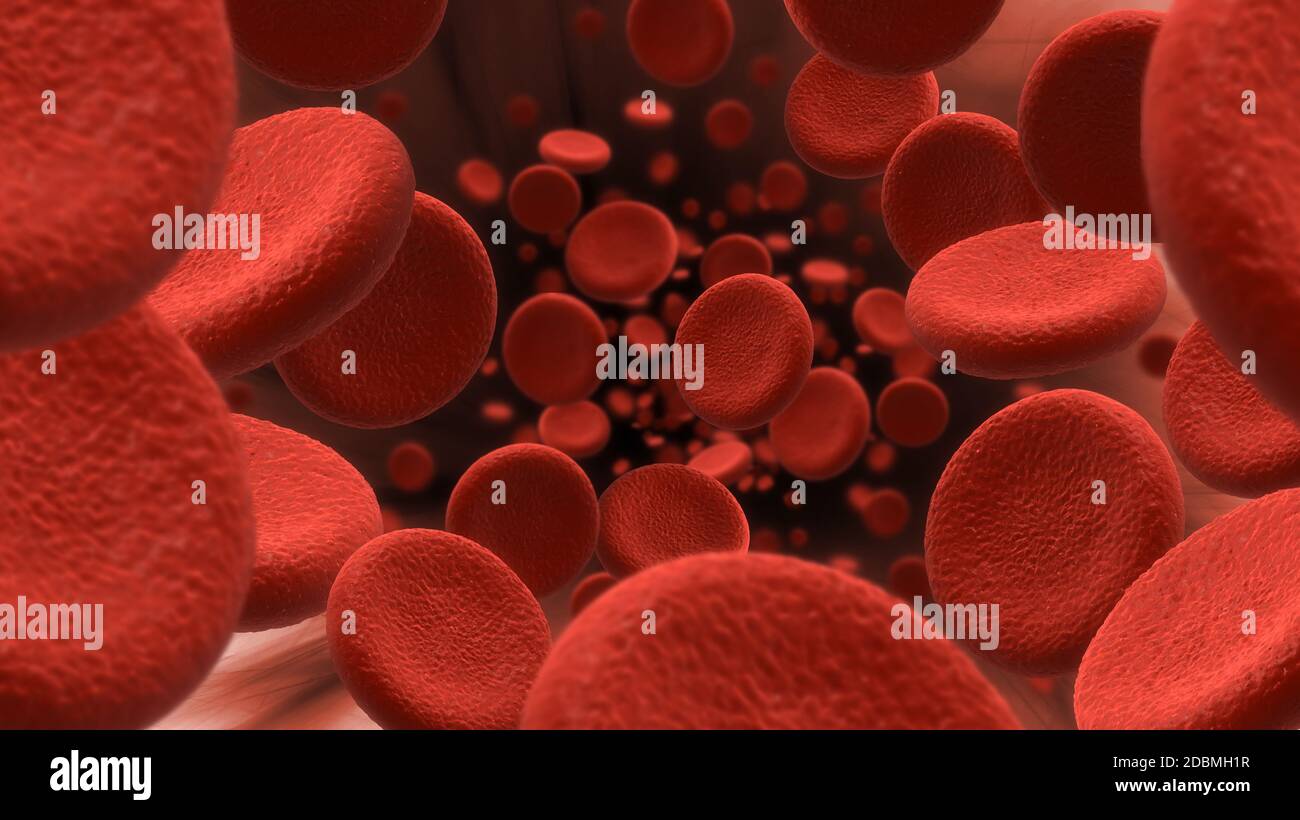 Blood cells flow Close-up Stock Photo - Alamy