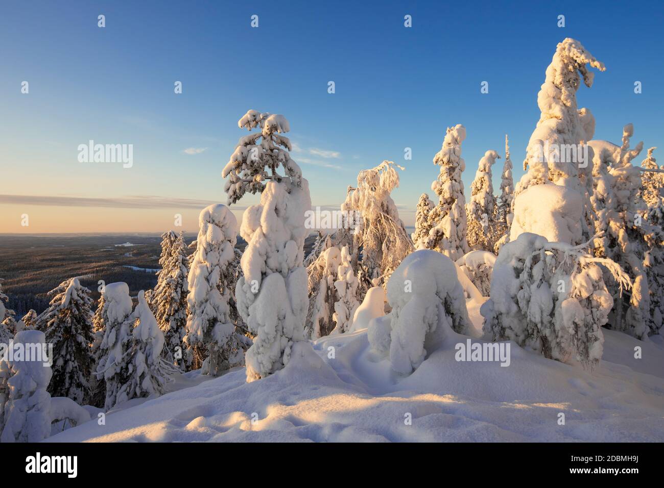 Snowy winter landscape in Koli National Park, Finland Stock Photo - Alamy
