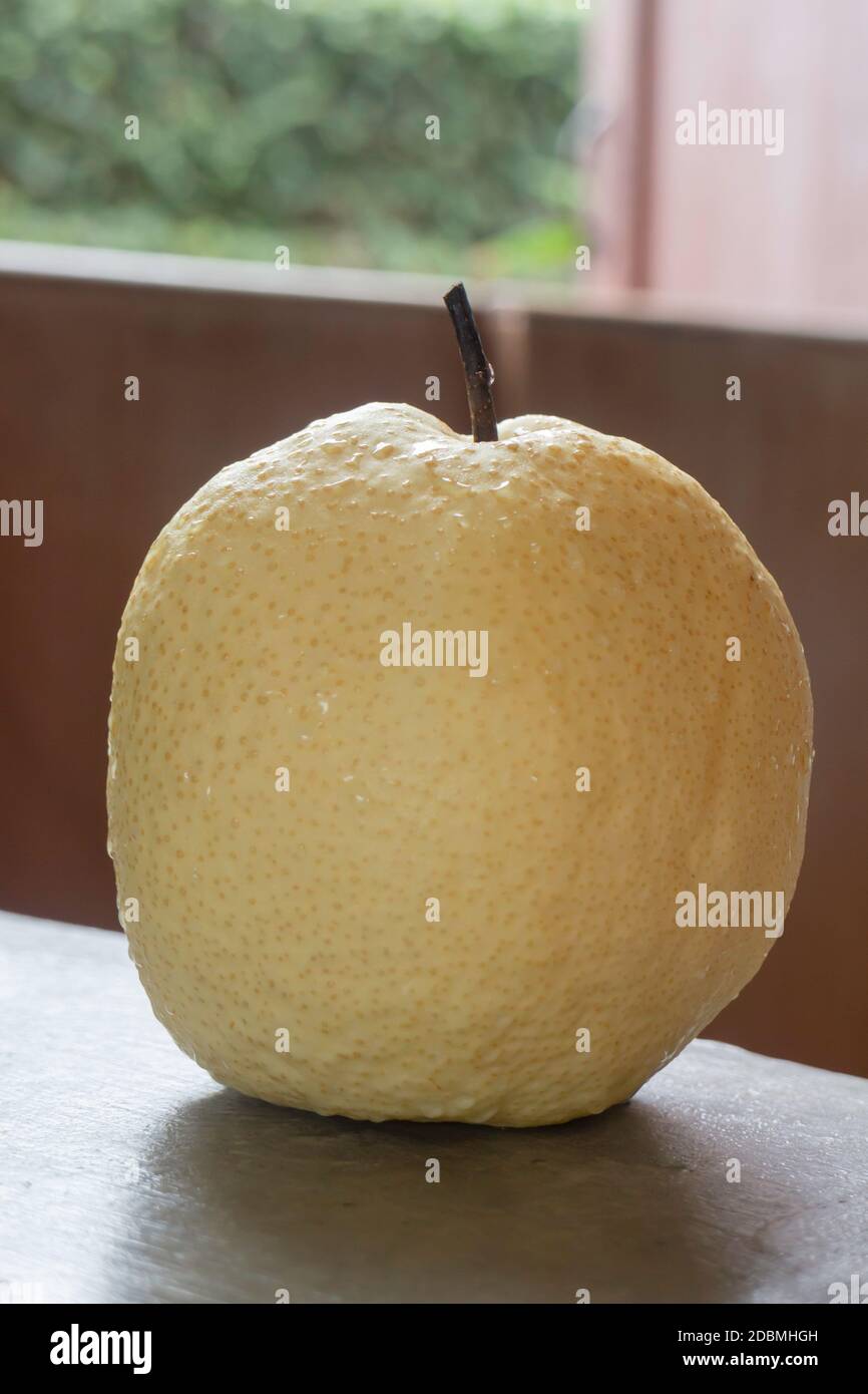 Single fresh asian whole pear, stock photo Stock Photo - Alamy
