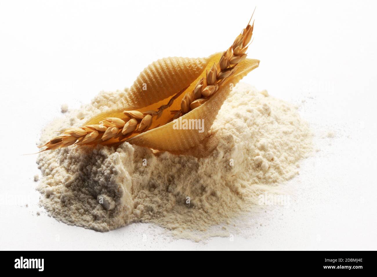 Shell-shaped pasta with flour and wheat ears Stock Photo - Alamy