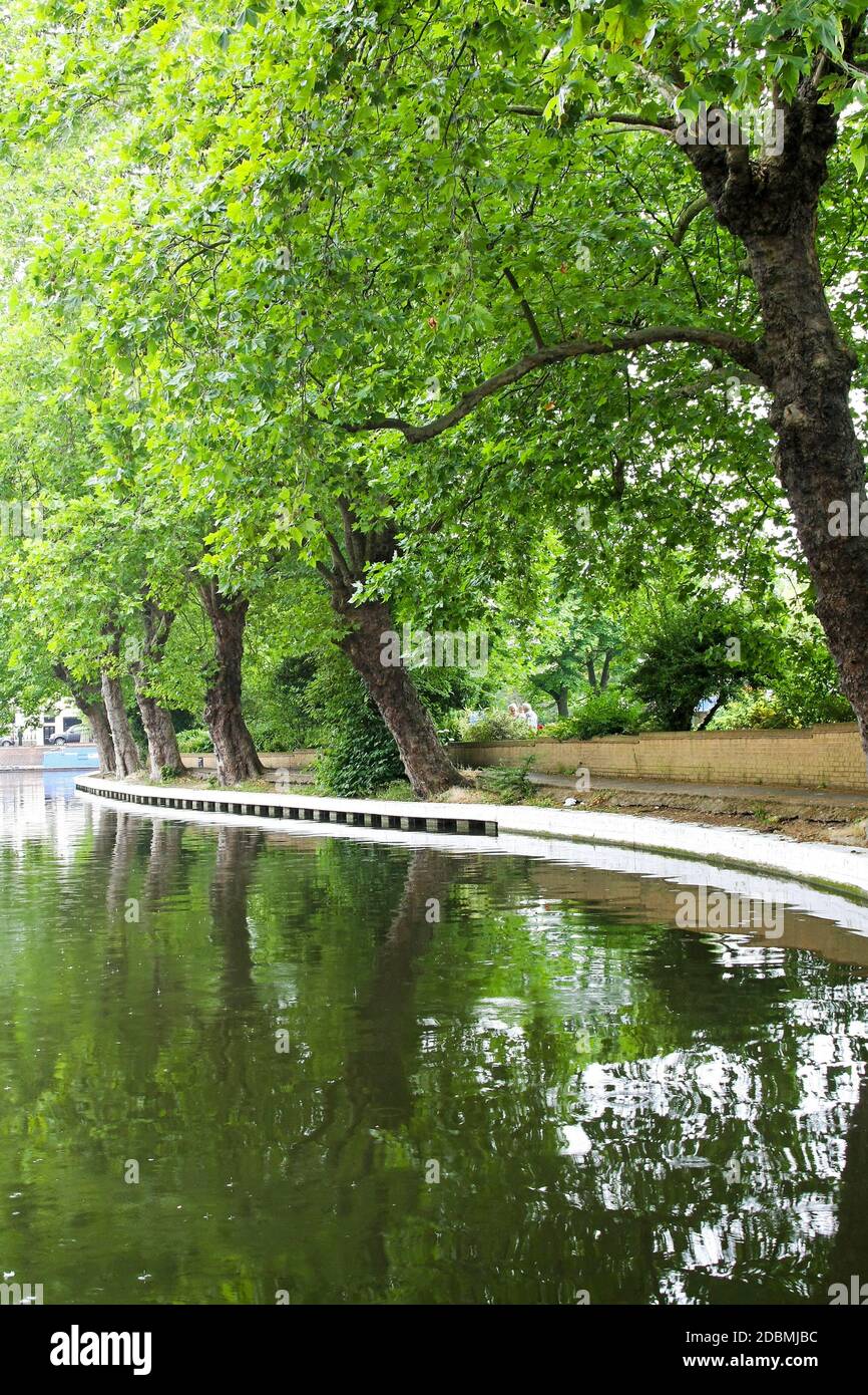Close up shot of channel bank with trees Stock Photo - Alamy