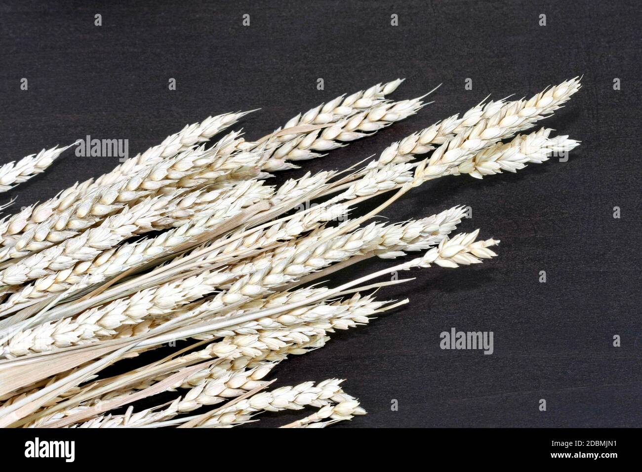 Close up shot of bundle of wheat Stock Photo - Alamy