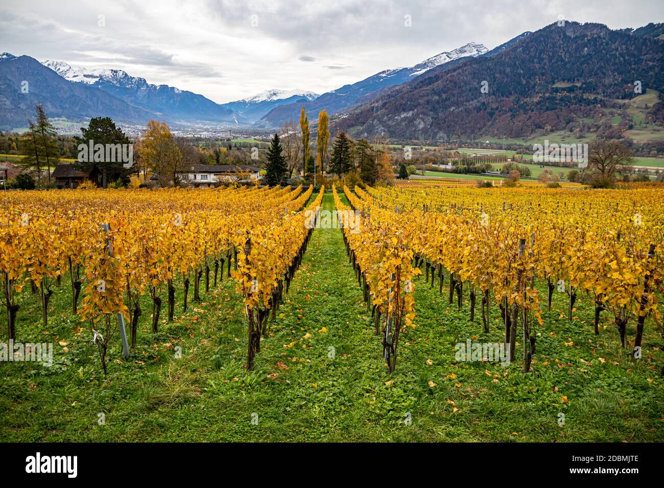 Switzerland agriculture hi-res stock photography and images - Alamy