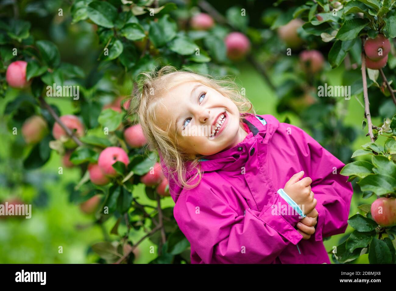 Little girl staying under apple tree in the garden Stock Photo - Alamy