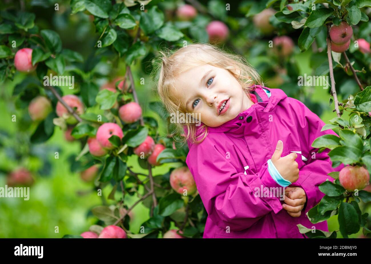 Little girl staying under apple tree in the garden Stock Photo - Alamy