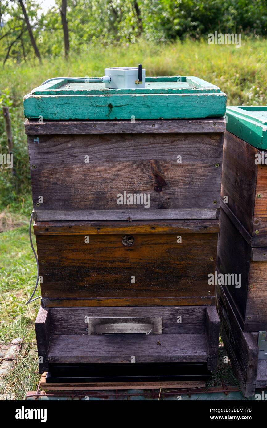 White transmitter with small solar panel and bees monitoring system on ...