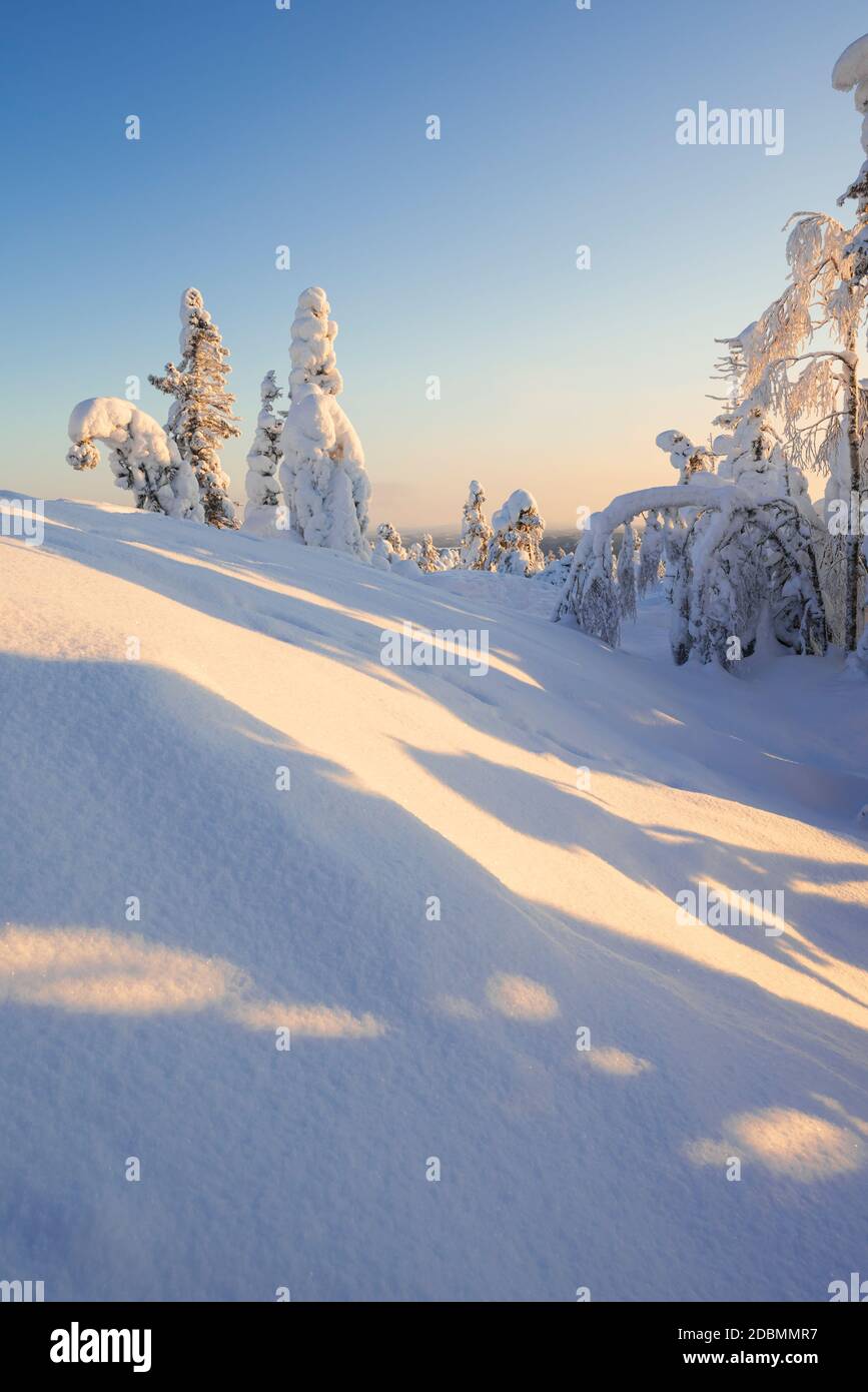 Snowy winter landscape in Koli National Park, Finland Stock Photo - Alamy