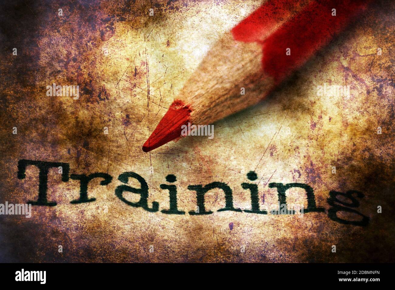 Pencil on training text Stock Photo - Alamy