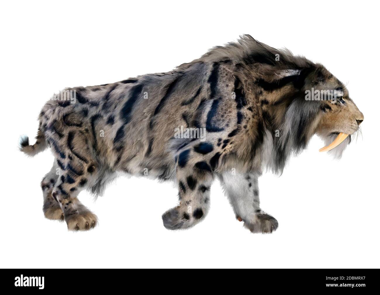 Saber Tooth Tiger Frozen