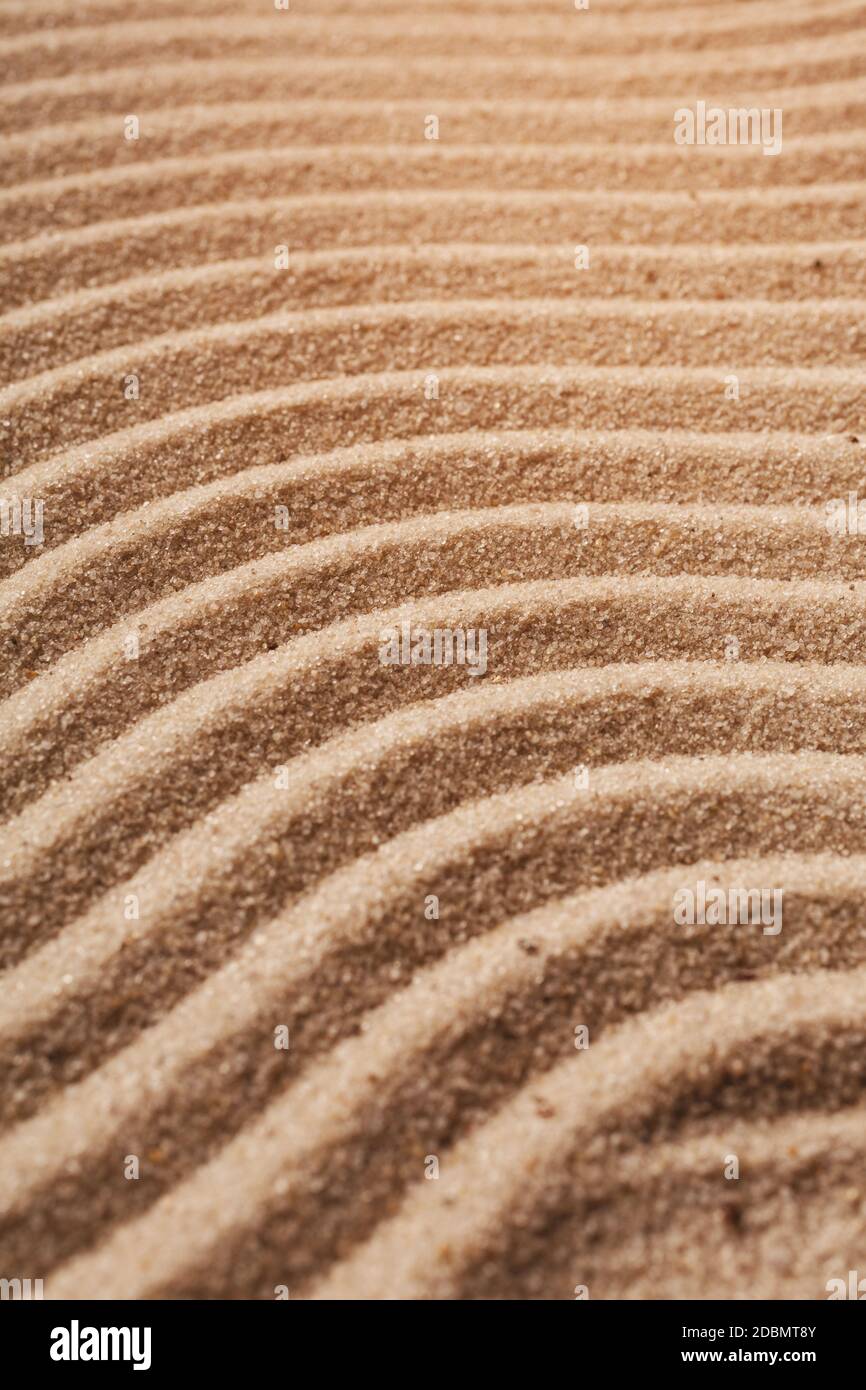 Golden wavy sand texture pattern structure, lit by morning sun. Sand ...