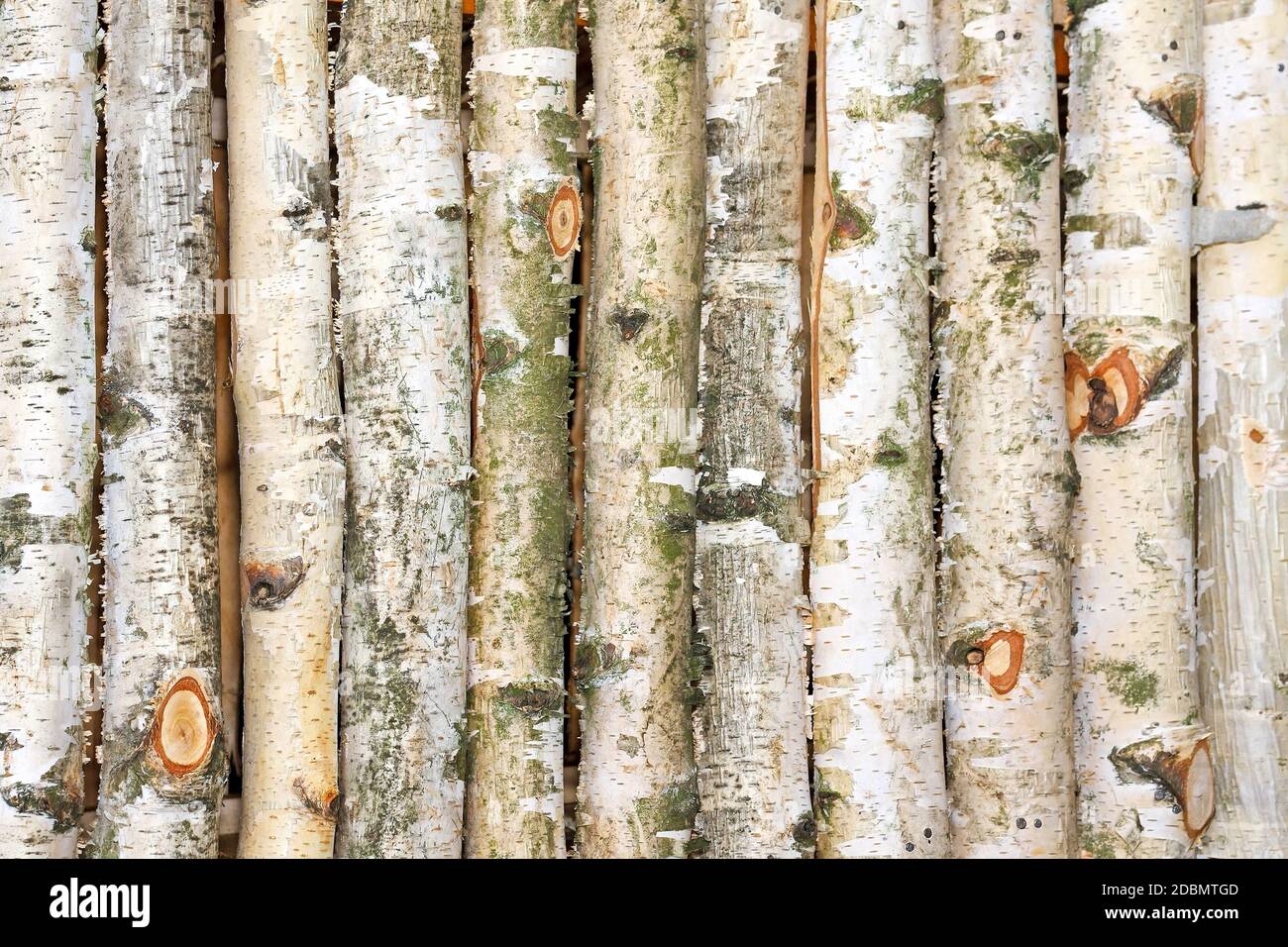Natural style background from birch tree texture Stock Photo - Alamy