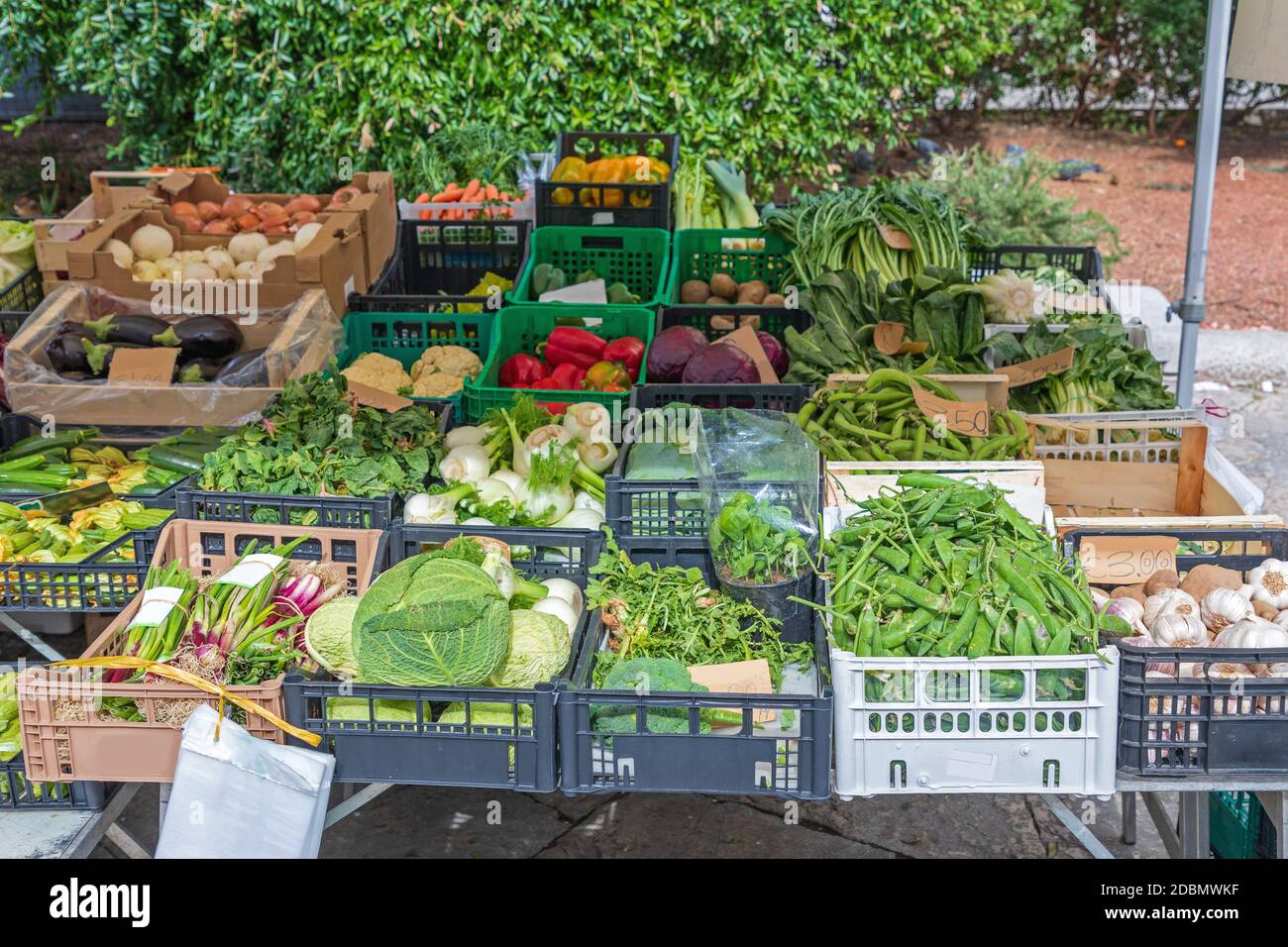 Vegetables at Farmers Market Stall in Trieste Italy Stock Photo - Alamy