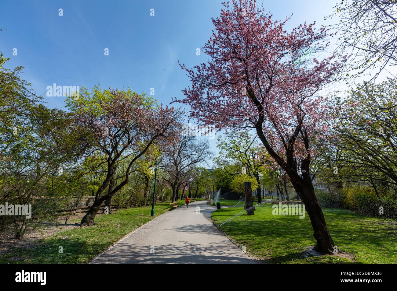 People in Stadtpark, Vienna, Austria Stock Photo - Alamy