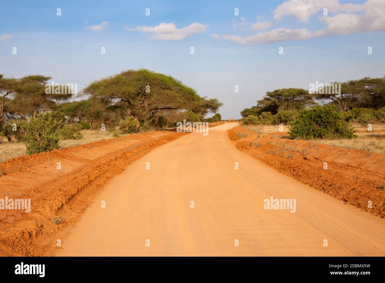 A way with red soil throught the savanna with a lot of trees and green ...